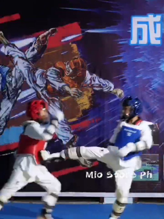 14 in 1 Taekwondo Gear Complete Set Taekwondo Armor Full Set Taekwondo ...