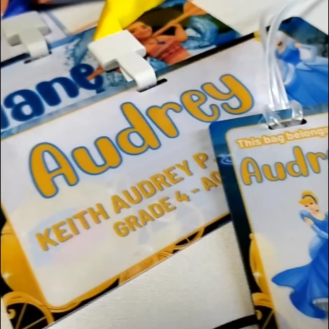 DISNEY PRINCESS Designs - Customized PVC or LAMINATED School Name Tag ...