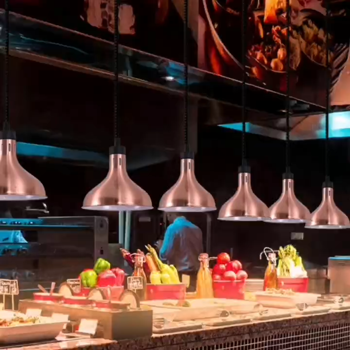 TIO.LIO Retractable Food Warmer Stainless Steel Food Heat Lamp 250w ...