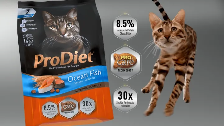 ProDiet 8KG Chicken Tuna Dry Cat Food (500G Inner Packs) | Lazada