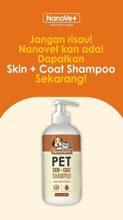 Nanovet® Pet Skin + Coat Shampoo for Cat and Dog | Lazada