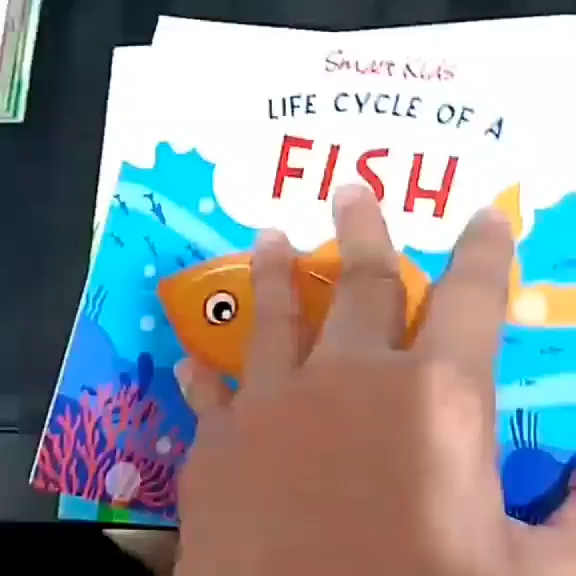 Childrens Library - Smart Kids Life Cycle / Board Book / Set / Early ...