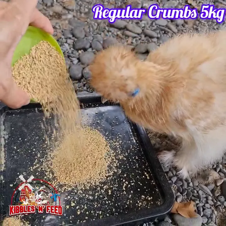 [LOCAL SELLER] 5kg Chicken Feed Crumbles | Lazada Singapore