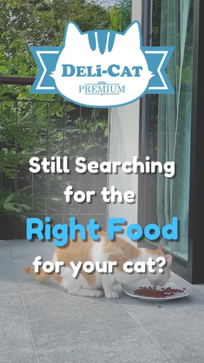 DELI-CAT PREMIUM CAT FOOD 13 LBS | Lazada