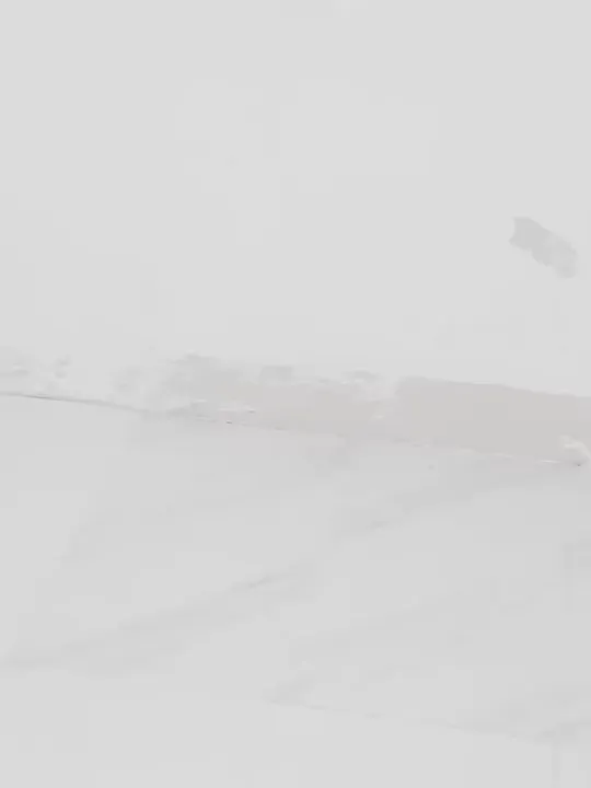 Wall Border List Kayu 10cm X 10m Border List Motif Kayu Wallpaper ...