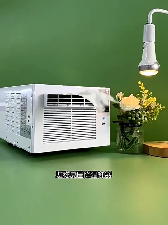 Portable Air Conditioning Compressor 12V/24V/220V Cooling Parking Air ...