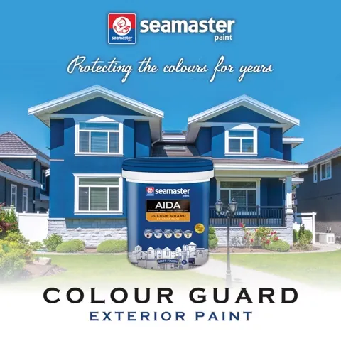 Seamaster AIDA Exterior Paint Colour Guard - Grey Tones | Lazada