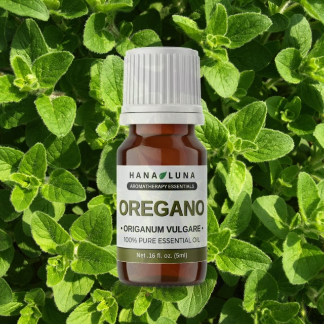 Oregano Essential Oil, 100% Pure Aromatherapeutic Grade, Organic, All ...
