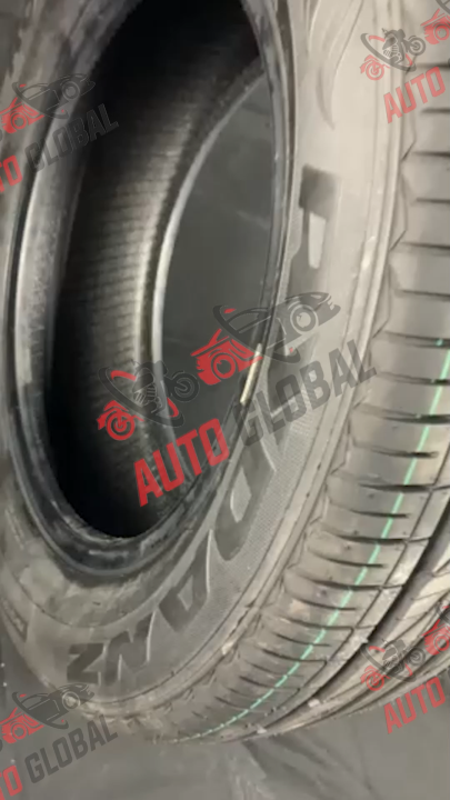 Rydanz 205/60 R16 REAC R05 for Sedan | Lazada PH