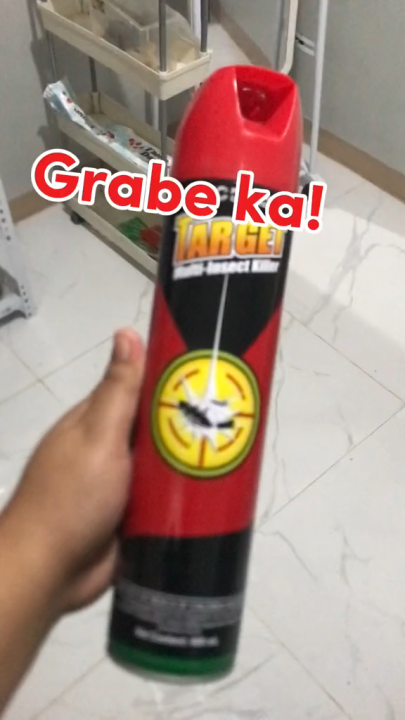 TARGET Multi-Insect Killer 600ml (PERSONAL COLLECTION) | Lazada PH