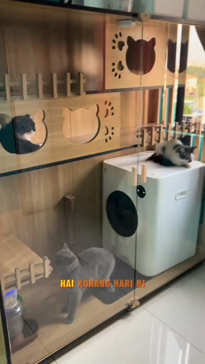 Cat Cage Solid Wooden Cat Cage Large Display Cabinet Wooden Deluxe Cat ...