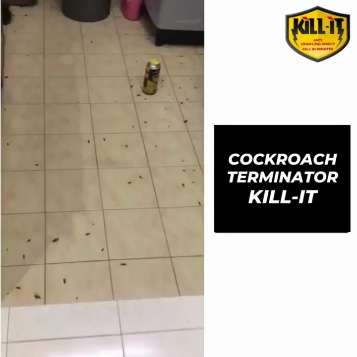 Cockroach Insect Killer PEST CONTROL INSECTICIDE KILL IT SPRAY CAR HOME ...