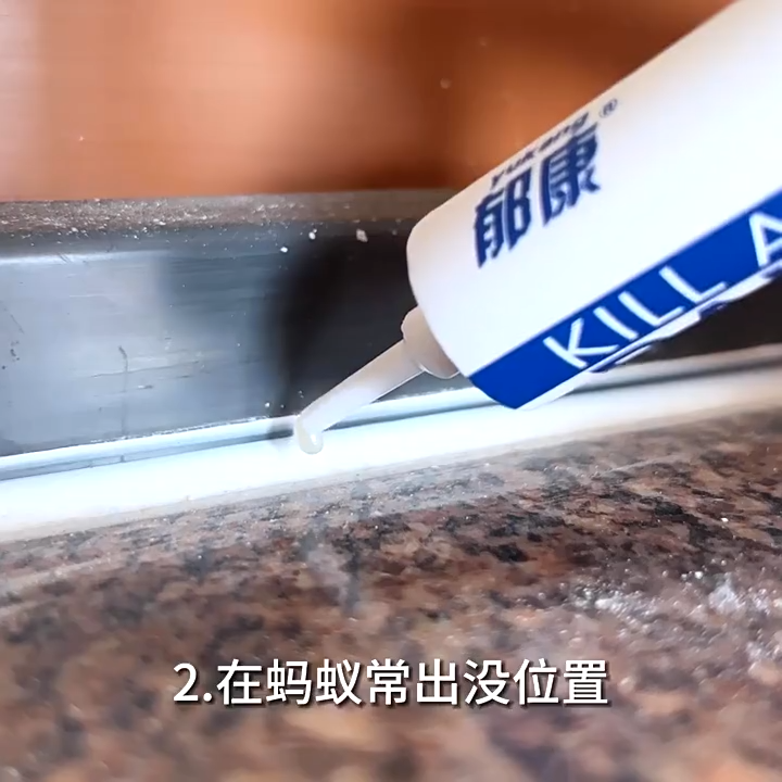【SKIT SG】Ant Gel Bait Killer, Ant Killer Guards, Ant Gel Bait Killer ...