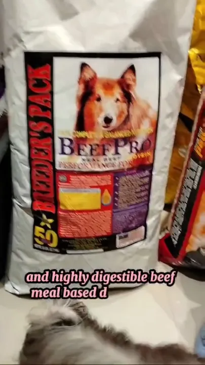 Beef Pro Breeders Pack Adult 500 Grams | Lazada PH