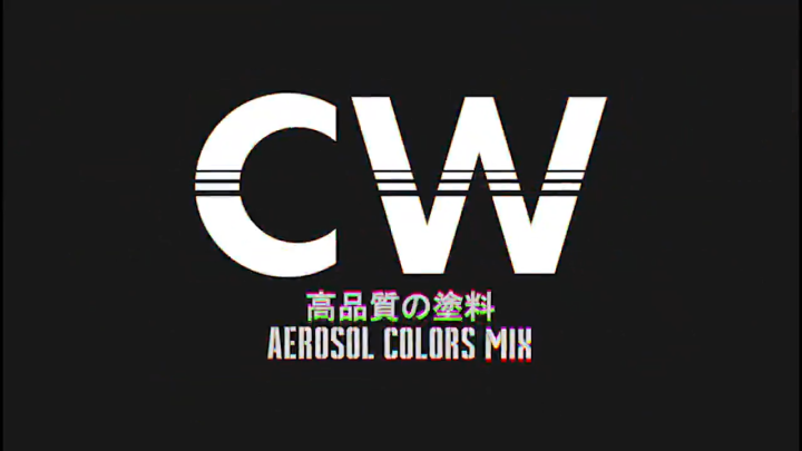 HYUNDAI SANTA FE GEN 4 Touch Up Paint Color CW Aikka Aerosol DIY Cat ...