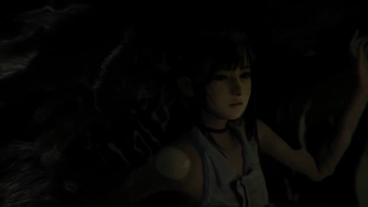 FATAL FRAME / PROJECT ZERO MAIDEN OF BLACK WATER + 4 DLCS PC Game / เกม ...