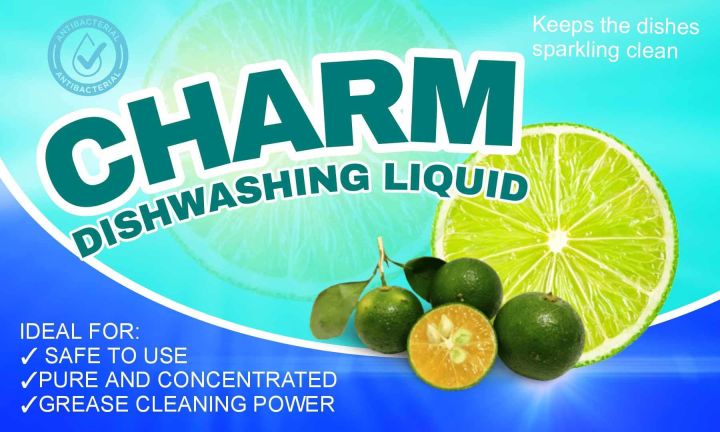 Charm Dishwashing liquid | Lazada PH