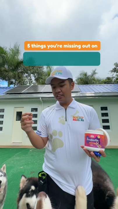 The Perfect Paws - Digestive and Joint Health Set [120 Chews 3-in-1 ...