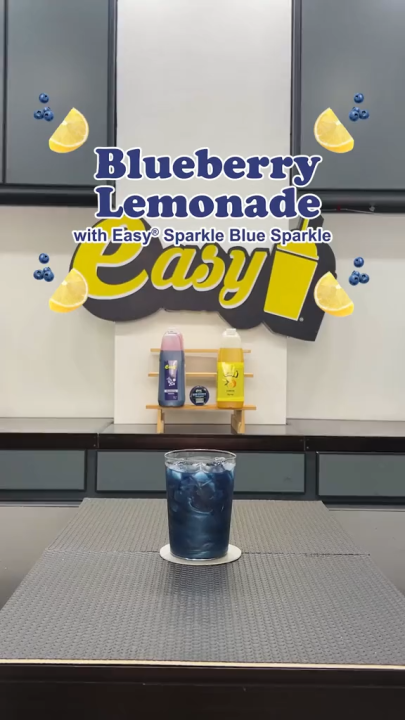 Easy Brand Blueberry Flavored Syrup 2.5KG | Lazada PH