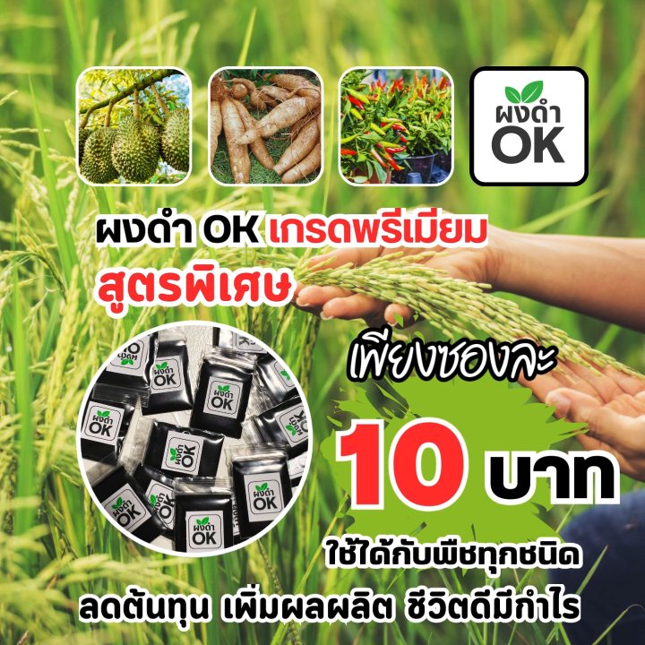 ผงดำ OK สารเสริมประสิทธิภาพพืช เพิ่มผลผลิต(ซองละ10บาท) | Lazada.co.th