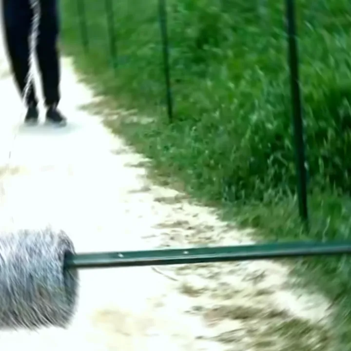 BARBED WIRE HOT DIPPED AND ELECTRO GALVANIZED STEEL FENCE /ANTI-CLIMB ...