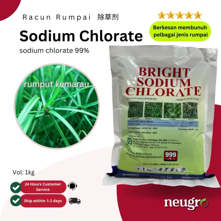 Bright Sodium Chlorate 99% (1kg) Herbicide For Different Type Of Grass ...