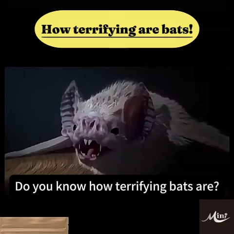 【All Bats Stay Away！】MNY Bat Repellent Outdoor Pigeons Repellent ...