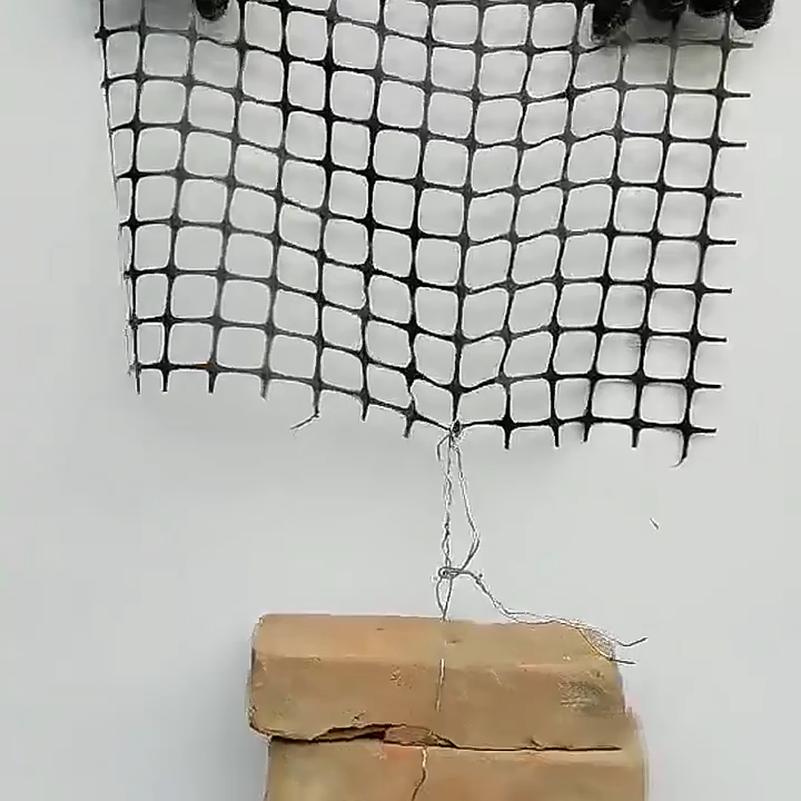 50M Chicken Net Plastic Fence mesh Used for Garden - Greenhouses ...