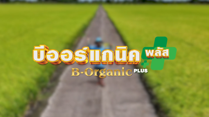 B-Organic Plus บีออร์แกนิคพลัส ลดปุ๋ย เพิ่มผลผลิต 500 ซีซี 1 ขวด แถมฟรี เสื้อ 1 ตัว | Lazada.co.th
