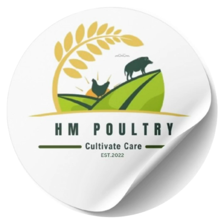 PAKYAW 1 BOX - 200 TABLETS | Lazada PH