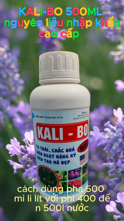 PHÂN BÓN CANXI BO 500ML NGUYÊN LIỆU NHẬP KHẨU CAO CẤP, HÀNG CHÍNH HÃNG ...