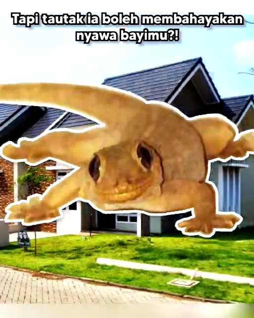 Mangzor Ants Cockroach Lizard Gecko Fly Termite Bait Insects Eco Gel Bait Ubat Semut Lipas Cicak ...