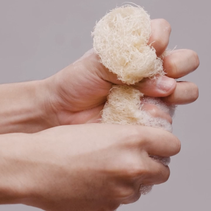 The Collective Loofa ( Made with 100% Real Organic Luffa Gourd | Skin ...