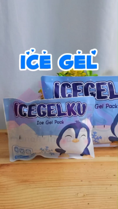 ICEGELKU PAKET 2 ICE GEL BESAR & KECIL PAKET ICE GEL 500gr+200gr ICE ...