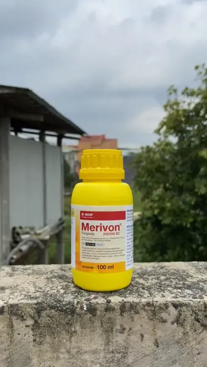 Fungisida Merivon 250/250 SC 100 ml | Lazada Indonesia