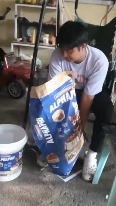 1kg NutriChunks Alpha Pro Regular Bites Small Bites Puppy BItes All ...