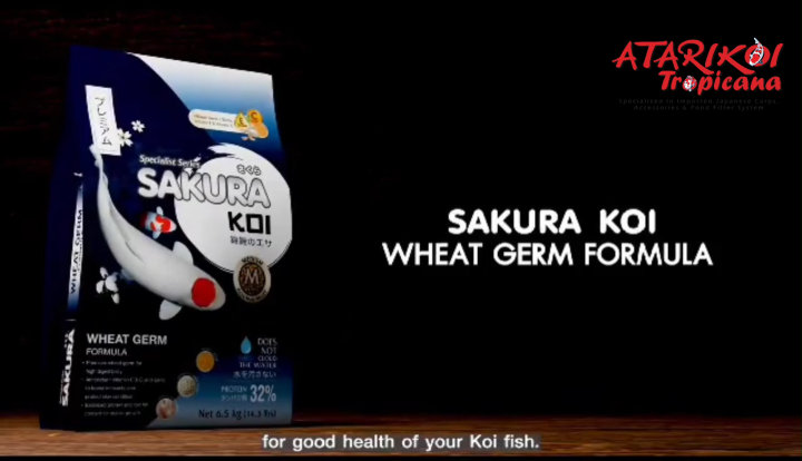 Sakura Fish Food - Wheat Germ Formula - 15KG (Floating) | Lazada