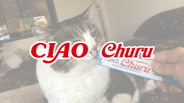 INABA CIAO CHURU TUBE LACTOBACILLUS FUNCTIONAL TUBE 80G | Lazada