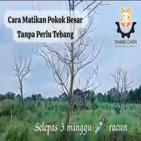 Shang Chen 1L Tri-Ester / Tri-Ester 32 / Rumput Rumpai / Pokok / Mati ...