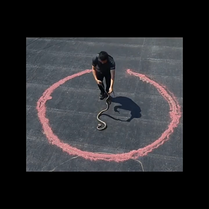 Snake repellent powder Snake repellent pellets Granular snake repellent ...