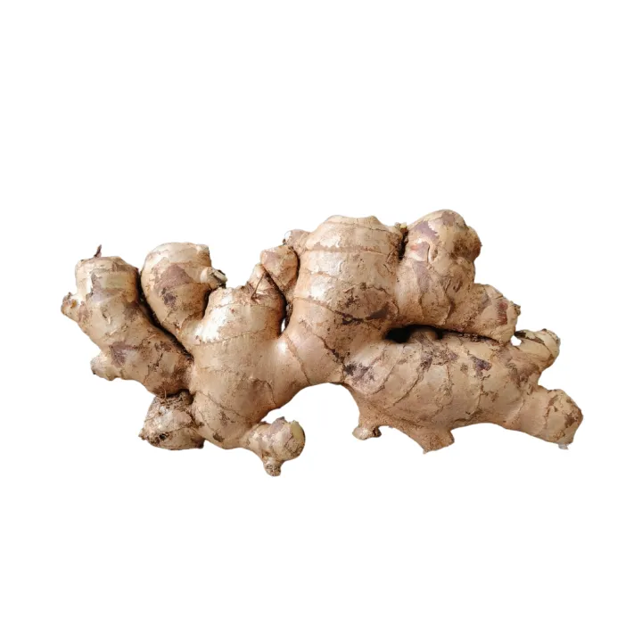 Ginger Bentong 1kg AAAA | Lazada