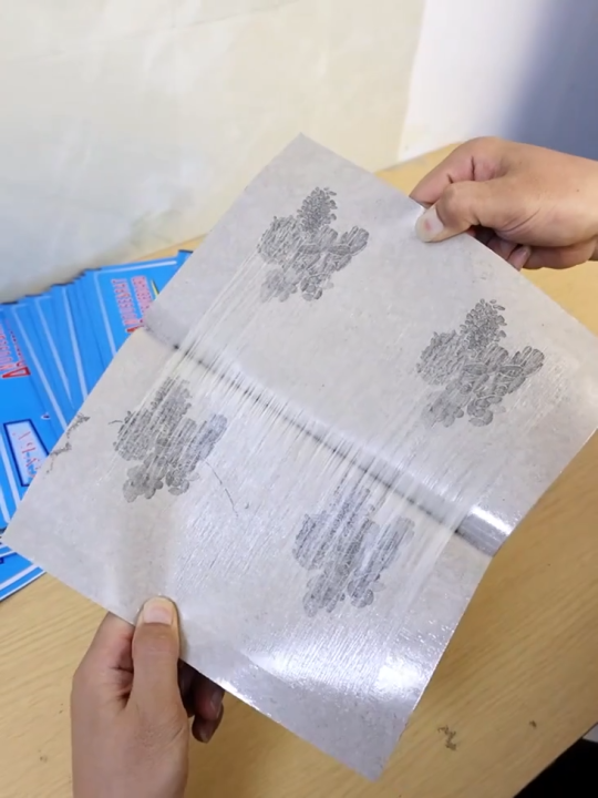 10Pcs Mouse Rat Glue Trap, Rodent Expert, Rat Glue Snare, Strong ...