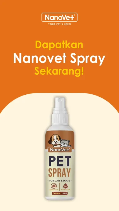 Nanovet® Pet Antifungal and Antibacterial Spray for Cat and Dog | Lazada