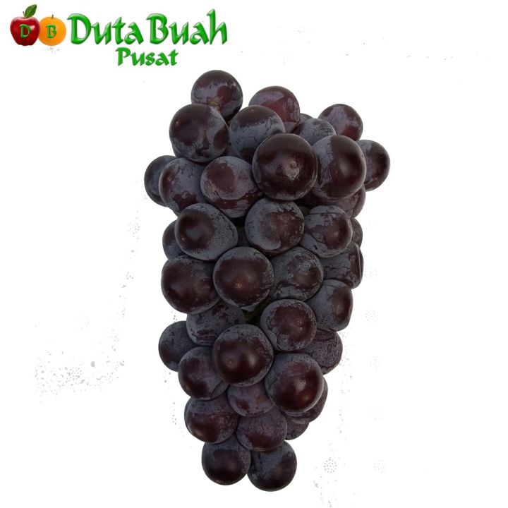 DUTA BUAH Anggur hitam summer royal RRC ( 500G ) | Lazada Indonesia
