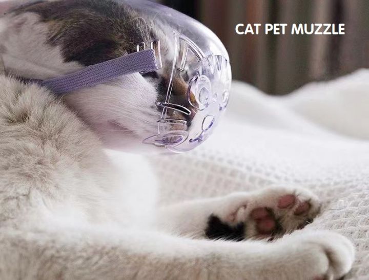 Cat Muzzle Anti-Bite Anti-Called Cat Mouth Cover Transparent Cat Face ...
