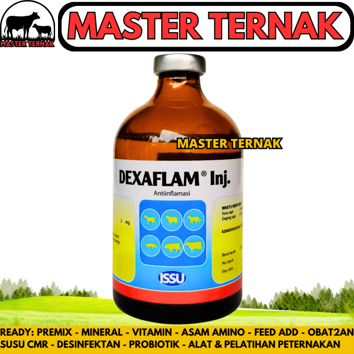 DEXAFLAM 100ML ISSU - Obat Hewan Anti Inflamasi Ternak Sapi Kambing ...