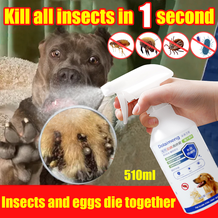 Kill all insects in 1 second dog ubat kutu kucing cat 510 ml Insects ...