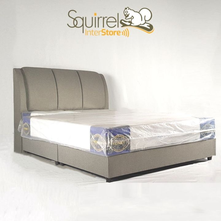 SQUIRREL simple design divan bed with thick headboard | Lazada