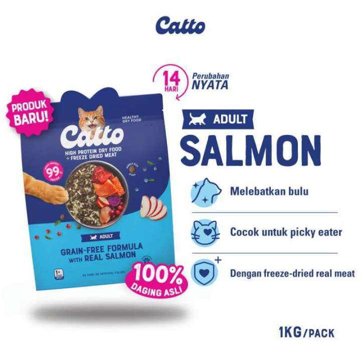 Catto Premium Dry Food - Adult Salmon 1kg | Natural Healthy Dry Cat ...
