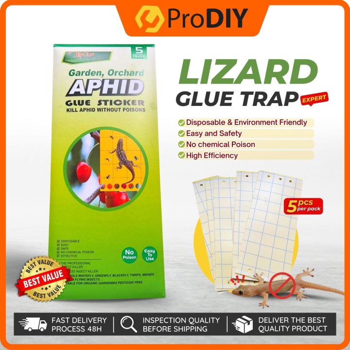 Lizard Aphid Gecko Strong Adhesive Sticky Glue Trap Boards for Pest ...